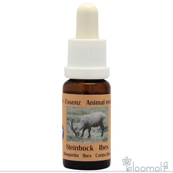 もっと心温め、理解することを助けてくれる。太陽神経叢に従うばかりではない、ということをサポートする。■商品名：山羊 コルテPHIエッセンス ヨーロピアンアニマルエッセンス Steinbock