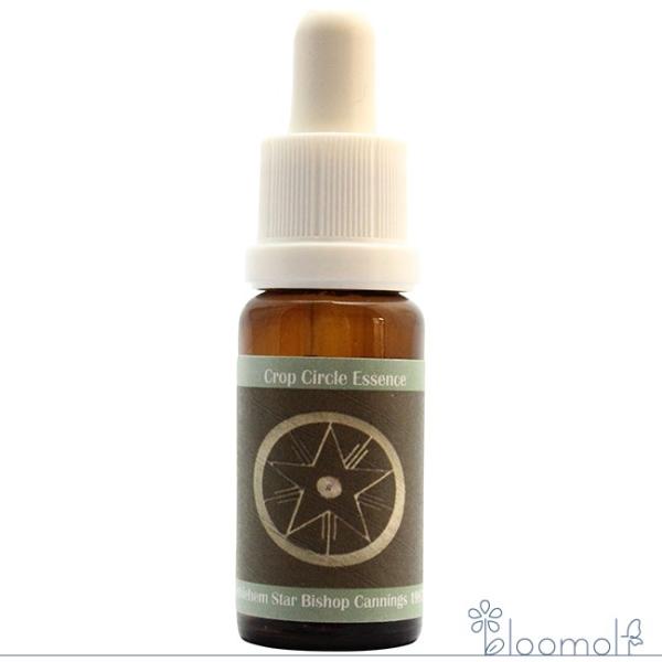 とても深い瞑想のエネルギー。グループエネルギーを1点に集中させる。内側のバランスをもたらし、両極を繋ぐ。衝突する状況にいる際に役立つエッセンス。■商品名：#14 Bethlehem Star, Bishops Cannings, UK 19...