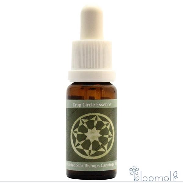 8 Pointed Star　Bishops Cannings 15 July 2000このエネルギーは木星と一致する。拡張と開くエネルギー。ハートチャクラとマインドを4つの方向性へ開くと共に、母なる地球とつなげてくれる。■商品名：#30 ...