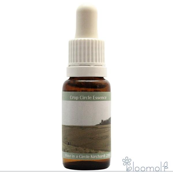 サークルの中にあるひとつの波。落ち着きを保ち、前向きな思考を発達させることを助ける穏やかなエネルギー。調和と統合を促進するエッセンス。■商品名：#65 Wave in a Circle, Kirchardt, D 2003 コルテPHIエッ...