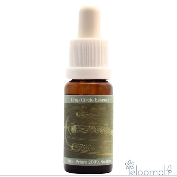 家系の記憶として継承されているブロックを解決するよう働きます。集合意識に根ざすパターンを解放するサポートにも最適です。自分が持っているブロックを認識させ、なぜこのブロックが構築されたのか理解を促します。そうすることによって、古い記憶を手放し...