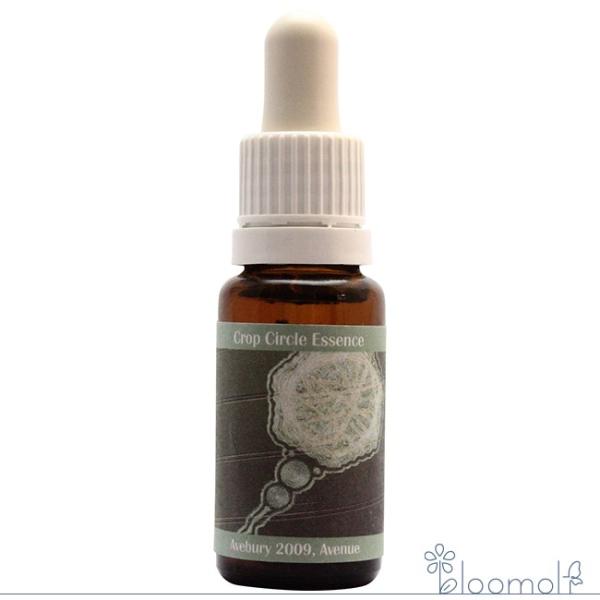 この図形は受精を表わしています。2人のDNAが融合することによって、新たな波動を持つDNAが創造されるという聖なる瞬間を象徴しています。神の神聖なる創造物。中絶を経験した方、体外受精等で赤ちゃんの性別を操作した方を癒します。■商品名：#12...