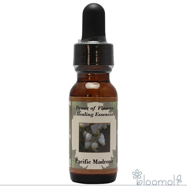 パシフィックマドロンエッセンスは、肉体の満足感や豊かさを現実化させる働きをもち、母親との問題で幼い頃に愛を受け取れずにいた人のサポートや、自分に対して抱くイメージや身体への問題を抱えている人、過食や拒食といた食物への問題を抱えた人をサポート...