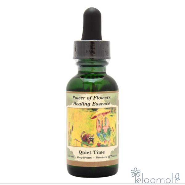 一人の時間を楽しむ、くつろげる場所を探す、自然を堪能する、読書を楽しむ…。このような体験は、今日の若い世代にとって稀なことではないでしょうか。子どもたちの内面をサポートすることで、成長と共に、多くの恩恵が彼らにもたらされます。これにより、子...