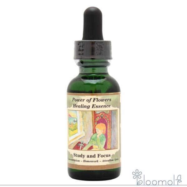 ストレス、環境中の化学物質、速いペースのライフスタイル、完璧さの追求、インターネットやソーシャルメディアの濫用、そしてその他無数の集中力を妨げる要因により、現代の子どもたちは様々な注意力の問題に苦しんでいます。スタディー&amp;フォーカス...