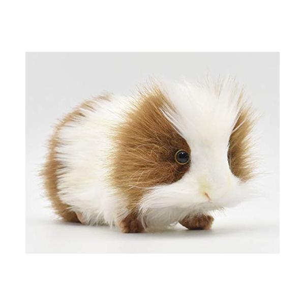 【商品概要】商品タイプ：リアルな動物のぬいぐるみ動物：テンジクネズミ【HANSAとは】1972年にオーストラリアで創業して以来、地球上に生息する動物を中心に様々な生物を研究し、細部までリアルに再現したぬいぐるみを製造しております。すべてのH...