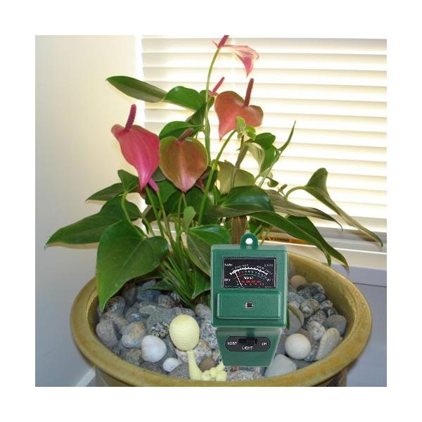 【商品概要】【商品説明】【商品詳細】商品種別：DIY・工具・ガーデン商品名：簡単につかえる　土壌水分計◇H1970商品番号：H1970色：緑【当店からの連絡】