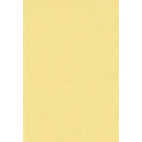 【商品概要】21.0cm×29.7cm【商品説明】説明欲しい色が見つかる全61色適度な厚みとコシで様々な用途にて御使用いただけます。インクジェット、レーザープリンター対応坪量:122g/m2紙厚:0.2mm寸法:A4判 210×297mm【...