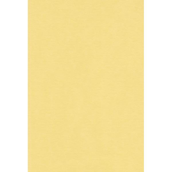 【商品概要】21.0cm×29.7cm【商品説明】説明欲しい色が見つかる全61色適度な厚みとコシで様々な用途にて御使用いただけます。インクジェット、レーザープリンター対応坪量:122g/m2紙厚:0.2mm寸法:A4判 210×297mm【...