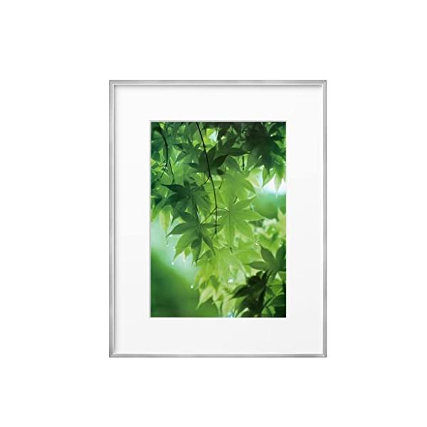 【商品概要】額縁外寸法:W313×H400×23mmマット外寸法:W303×H388×2mmマット中抜き寸法:W188×H276mmフレーム材質:プラスチック前面板:PS板吊りヒモ:ありスタンド:なし付属:コーナーおさえ補助金具【商品説明】...