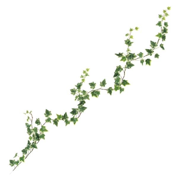 【商品概要】葉L3~6×L180cm主な素材:ポリエチレン原産国:中華人民共和国フェイクグリーン 造花グリーン リーフ 多肉植物アーティフィシャルフラワー(造花)なので陽の届かない場所でも気軽にお楽しみいただけます。吊るしたり、絡めたり、ま...