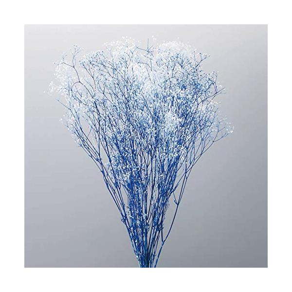 【商品概要】L約40.0cm主な素材:天然素材原産国:日本国プリザーブドフラワーフラワー(プリザーブド)染料が切り口や表面から漏れることがありますので、直射日光や湿気は避けてください。直射日光や高温多湿の場所は避けてください。屋内装飾用のた...