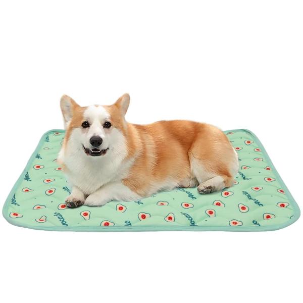 【商品概要】1.暑さ対策のクールマット：物理的に冷却する効果がある素材で作られたので、キルトに接触する瞬間ひんやり感が感じれます。中身はふわふかしたPP綿で詰まったので通気性が良いです。夏に扇風機、エアコンと合わせて使えるので、夏を涼しく過...