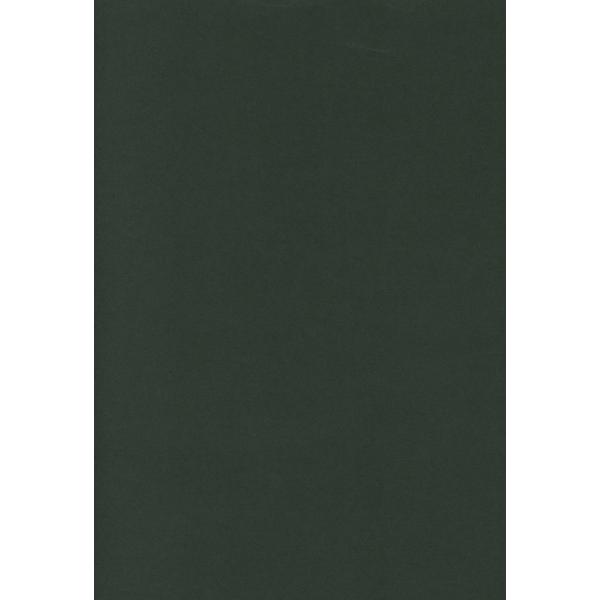 【商品概要】A4サイズ色：オリーブグリーン超厚口相当(約0.2mm)100枚入り(±2)【商品説明】説明超厚口相当(約0.2mm)のA4カラーペーパーです。分厚く、しっかりした質感の紙です。単色100枚入りです。様々な色を取り揃えました。無...