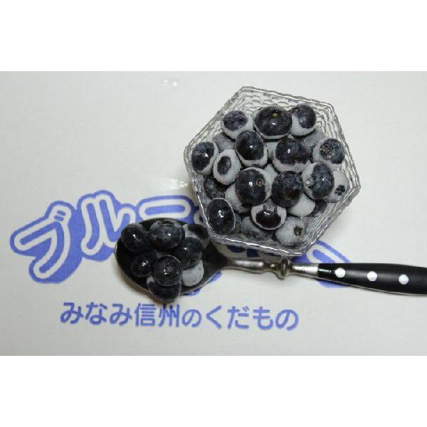 ＊　送料はクール便料金です。*　南信州の山奥で 減農薬 落ち葉などの 有機栽培 で実った、ブルーベリー 農園直売品 です。*  アントシアニン 視力改善  美味しくないと続きません・当園こだわりの逸品です* スムージー、ヨーグルトやミルク系...