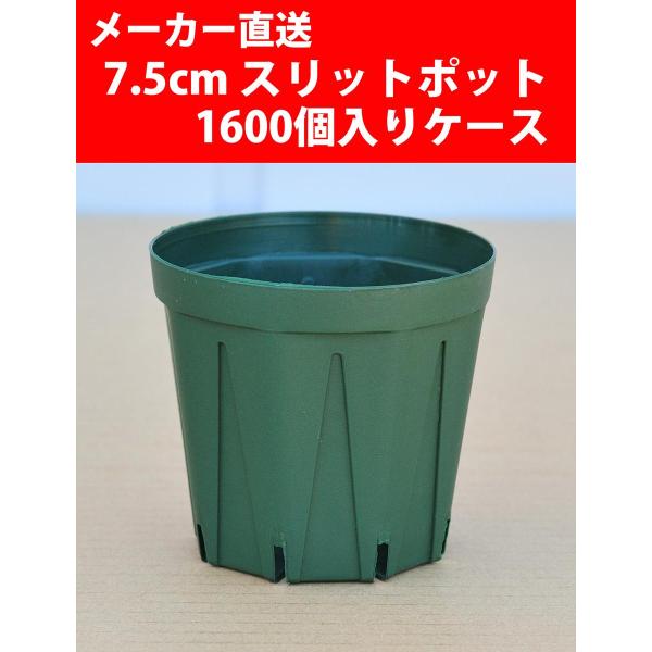 定番スリットポット の 7.5cmサイズ グリーン1,600個入りケースでのお届けです。（8角形）外形75mm×内径67mm×高さ67mm、容量約200cc【お届け・配送について】こちらはメーカー直送品になります。他商品との同梱発送はできま...