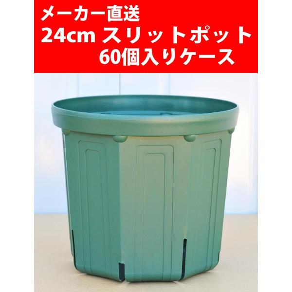 定番スリットポット の 24cmサイズ60個入りケースでのお届けです。中型のスリット穴ポットです。やや大きめのブルーベリーの苗木育成に使い易いサイズです。（8角形）外形240mm×内径205mm×高さ210mm、容量約7リットル【お届け・配...
