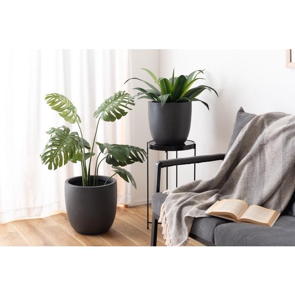 植物を入れるだけで、スタイリッシュなインテリアに さらさらとしたマットな質感と落ち着いたトーンが魅力的なグリーンベース。水抜き用の鉢底穴がついているため、植え込みでの使用も可能です。お部屋のイメージに合わせて植物をより魅力的に魅せてくれるア...
