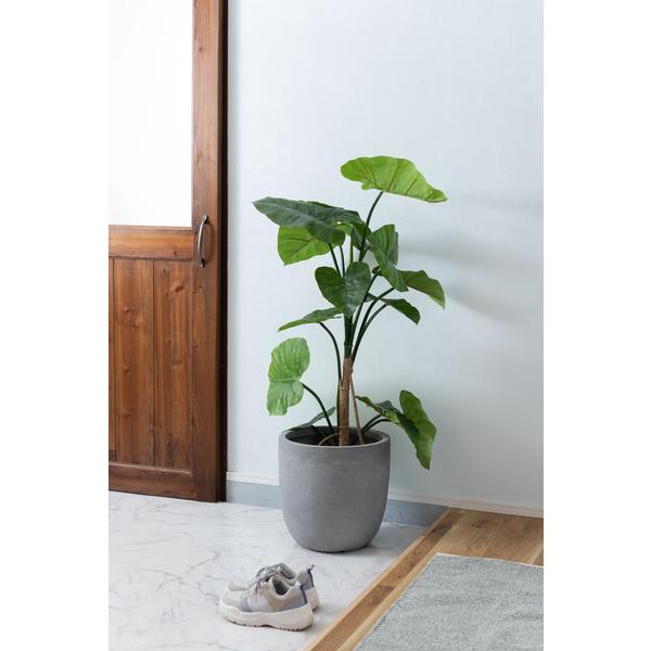 植物を入れるだけで、スタイリッシュなインテリアに さらさらとしたマットな質感と落ち着いたトーンが魅力的なグリーンベース。水抜き用の鉢底穴がついているため、植え込みでの使用も可能です。お部屋のイメージに合わせて植物をより魅力的に魅せてくれるア...