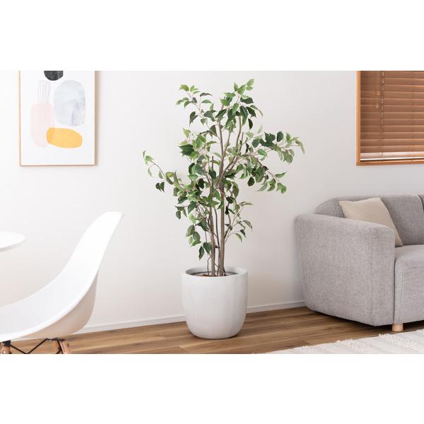 植物を入れるだけで、スタイリッシュなインテリアに さらさらとしたマットな質感と落ち着いたトーンが魅力的なグリーンベース。水抜き用の鉢底穴がついているため、植え込みでの使用も可能です。お部屋のイメージに合わせて植物をより魅力的に魅せてくれるア...