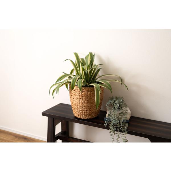 鉢ごと入れるだけで、植物がインテリアに丁寧に編み込まれたウォーターヒヤシンスのプランター。植物を鉢のまま入れるだけで、より魅力的に魅せてくれるアイテムです。商品の仕様について【材質】ウォーターヒヤシンス スチールフレーム ポリプロピレン【機...