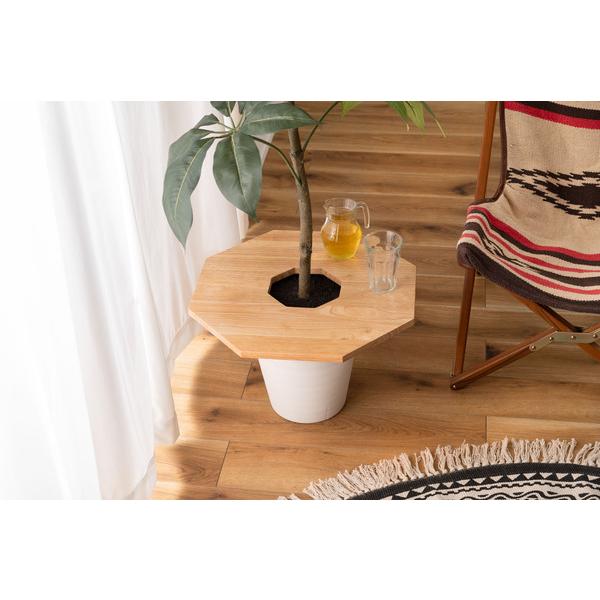 天然木のぬくもりを感じる北欧風デザインの「helppo」シリーズより、プランターの上に設置するだけで、観葉植物がおしゃれなテーブルになるアイテムが登場しました。ダボをはめ込むだけで簡単にセットする事が可能です。やさしい印象のサークルタイプと...