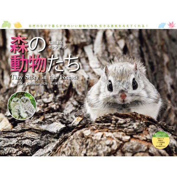 【商品概要】【商品説明】【商品詳細】ブランド：山と渓谷社商品種別：田舎暮らし商品名：カレンダー2026 太田達也セレクション 森の動物たち Tiny Story in the Forests（月めくり/壁掛け/北海道） (ヤマケイカレンダー...