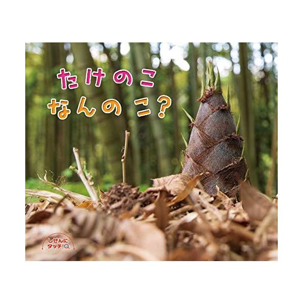 たけのこなんのこ? (しぜんにタッチ! 【3歳・4歳・5歳からの絵本】)