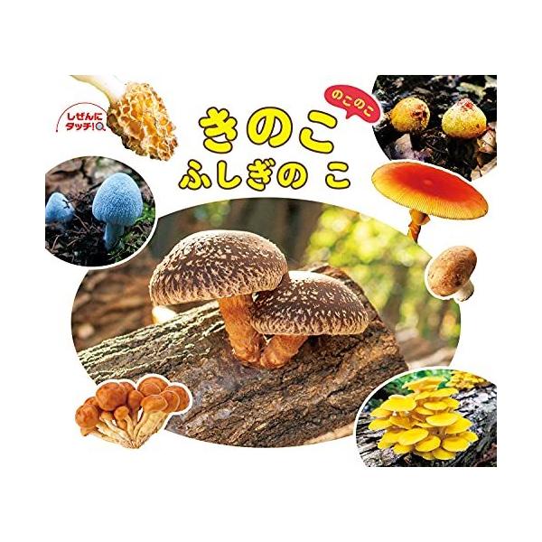きのこ のこのこ ふしぎの こ (しぜんにタッチ!【3歳・4歳・5歳からの絵本】)