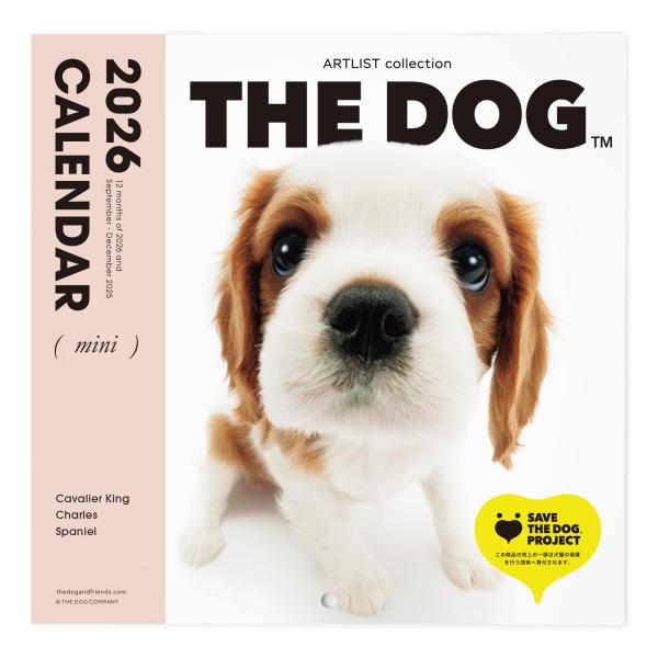 【商品概要】魚眼レンズで撮影したユニークな表情が魅力の“THE DOG”シリーズのミニサイズ壁掛けカレンダー【デザイン】シンプルで書き込みがしやすく、小スペースに最適なミニサイズの壁掛けカレンダー。毎日可愛いわんちゃんの写真を楽しめます｜日...
