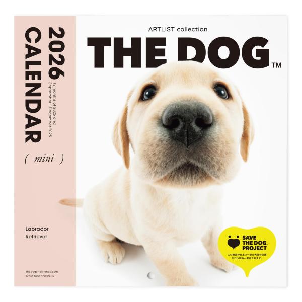 【商品概要】魚眼レンズで撮影したユニークな表情が魅力の“THE DOG”シリーズのミニサイズ壁掛けカレンダー【デザイン】シンプルで書き込みがしやすく、小スペースに最適なミニサイズの壁掛けカレンダー。毎日可愛いわんちゃんの写真を楽しめます｜日...