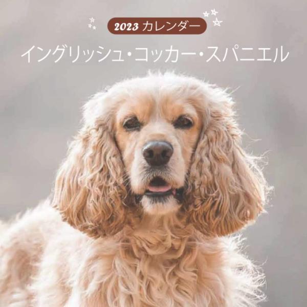 【商品概要】【商品説明】【商品詳細】商品種別：カレンダー商品名：イングリッシュ・コッカー・スパニエル カレンダー 2023: 素晴らしいギフト18か月のカレンダー2023年の美しい写真製造元：Independently published【...