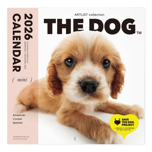 【商品概要】魚眼レンズで撮影したユニークな表情が魅力の“THE DOG”シリーズのミニサイズ壁掛けカレンダー【デザイン】シンプルで書き込みがしやすく、小スペースに最適なミニサイズの壁掛けカレンダー。毎日可愛いわんちゃんの写真を楽しめます｜日...