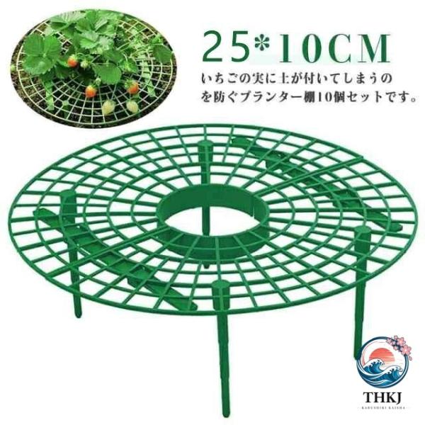 いちごの実に土が付いてしまうのを防ぐプランター棚10個セットです。つるや茎の誘引が簡単にでき、果実を土から離すことにより、汚れや虫、菌などから護り、イチゴの熟成を促進させます。プラスチック製で簡単に組立てができ、ネット状なので、水やりにも邪...