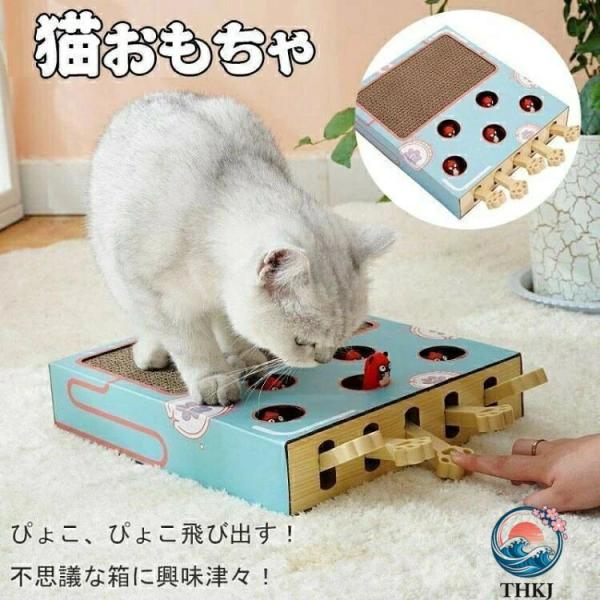 猫おもちゃ 猫 おもちゃ もぐらたたき 猫用品 おもちゃ その他  特集
