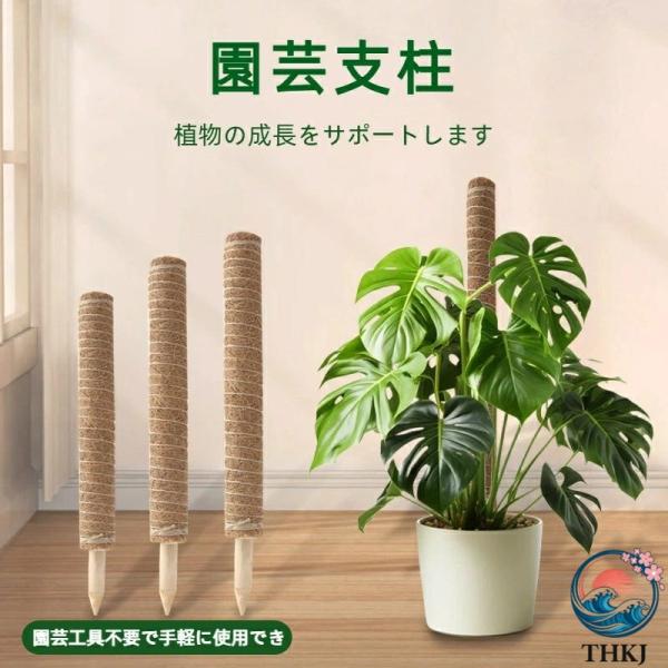 安定性に優れ、植物の成長をサポートします; ヘゴ支柱としてモンステラやポトスに最適です; 頑丈な構造で植物を傷つけません、モンステラ用のモスポールやつる植物用の支柱に最適です、このモンステラ 支柱セット植物ホルダースティック、ジュートロープ...