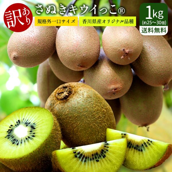 傷アリや形の悪いものを含んだ訳あり【規格外】のキウイフルーツです。シマサツナシと、食味の良いキウイフルーツを交配した香川県で開発されたさぬきキウイっこは、一口サイズで食べやすく、しっかりとした甘みが特徴！さらに刃物を使わずに指だけで割ること...