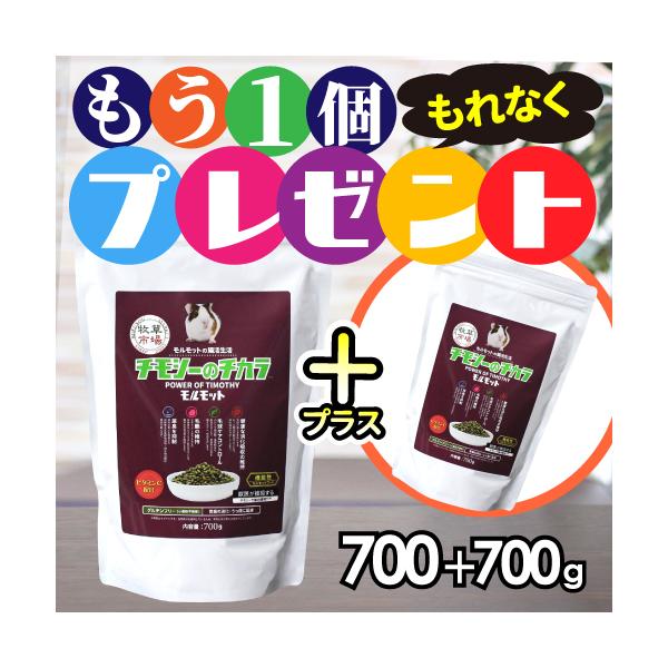 ■小動物の牧草専門店である牧草市場では、小動物の健康維持の秘訣は腸内環境にあると考えています。【 チモシーのチカラ モルモット 】はモルモットの健康ニーズに応えるために、用途に合わせた栄養素、成分を調整して作られています。本商品は『グルテン...