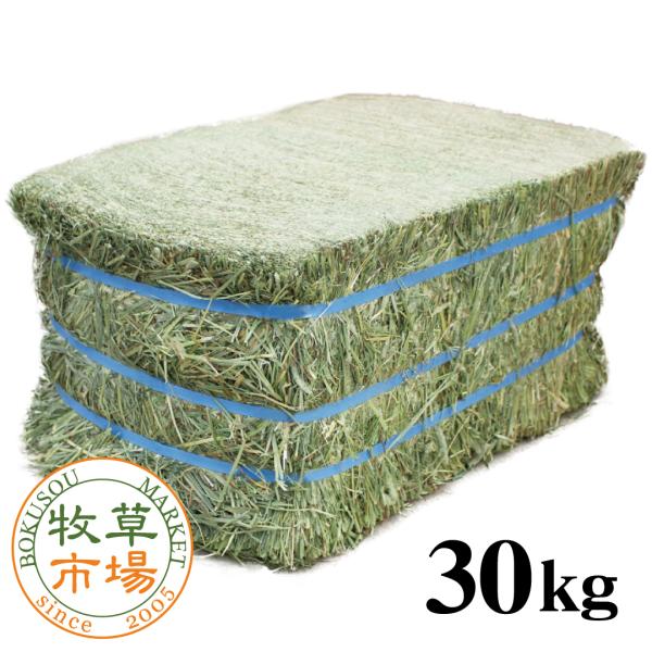 USチモシー1番刈り牧草　ダブルプレスうさぎ・モルモット・プレーリードッグ・チンチラ・ハムスター等の餌・敷材・産床に適しています。※ベールバンド取り外し時の怪我にご注意ください。※圧縮された状態で梱包していますので、ほぐしてご利用ください。...