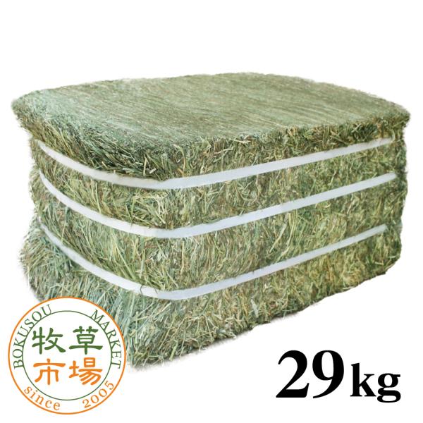 USチモシー2番刈り牧草　ダブルプレスうさぎ・モルモット・プレーリードッグ・チンチラ・ハムスター等の餌・敷材・産床に適しています。※ベールバンド取り外し時の怪我にご注意ください。※圧縮された状態で梱包していますので、ほぐしてご利用ください。...