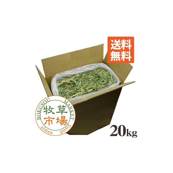 マメ科の牧草です。やわらかく乾燥状態が良いので、葉くずれして粉っぽくなりやすいです。予め理解くださいませ。チモシーと比べてカルシウム・タンパク質・ビタミンなどの栄養素が多く含まれており、成長期・病中・病後・妊娠中・産後・老齢期には適していま...