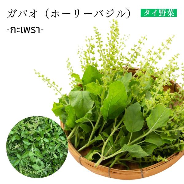 強い香りとスパイシーな風味が特徴。炒め料理に最適です。●商品：ガパオ（ホーリーバジル）●産地：千葉県●規格サイズ：約80g※お届け便について、「冷蔵（有料）・常温便」ご選択が出来ますが、常温便の場合、品質に問題があっても商品を交換することが...