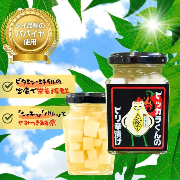 ＼◎当グループ会社のオリジナル商品◎／ステック状に食べやすくカットした青パパイヤを秘伝のピクルス液で漬け、ピリッとした唐辛子がアクセントの自慢の一品。シャキッとパリッと新食感がたまらなく後引く美味さ！冷やして食べると尚美味しいです！●商品：...