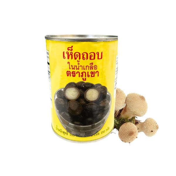 タイの黒フクロダケ（別名：トリュフマッシュルーム）は、入手が最も難しいキノコの1つです。通常、この種はタイ北部で見られ、通常はタイ北部のスープを作ります。小さな若いキノコの球根が使用されます。中は白く、少しジューシーです。素朴な味がします。...