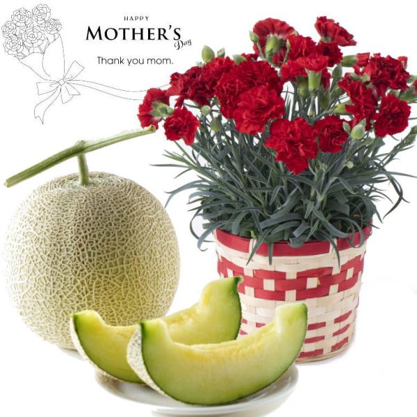 母の日にありそうでなかったスペシャルなセット商品。赤いカーネーションとメロンのグリーンで嬉しいプレゼントになりそうな予感。母の日のプレゼントに悩んだら見て嬉しい、育てて楽しい、食べておいしい、そんなギフトはいかがでしょうか【商品】カーネーシ...