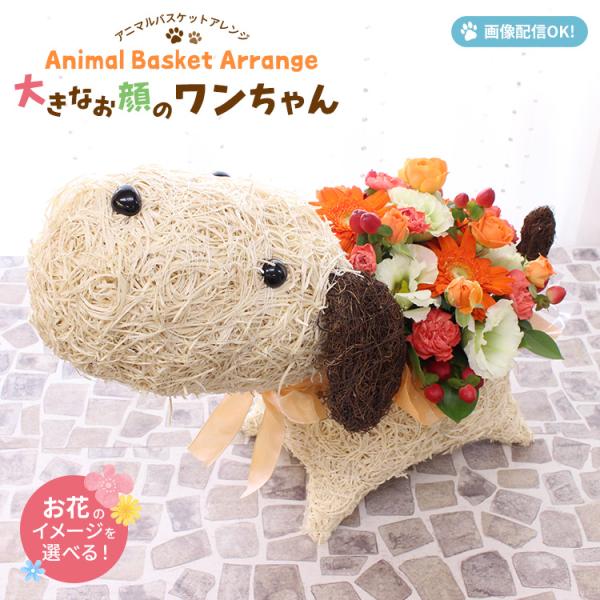 うるうる上目づかいにキュン！アニマルバスケットシリーズに仲間が増えました ♪　■配送について平日15時までのご注文で即日発送 送料無料※土曜の15時以降及び日曜の受付は月曜発送（火曜着が最速になります）※北海道・青森・秋田・岩手・沖縄・離島...