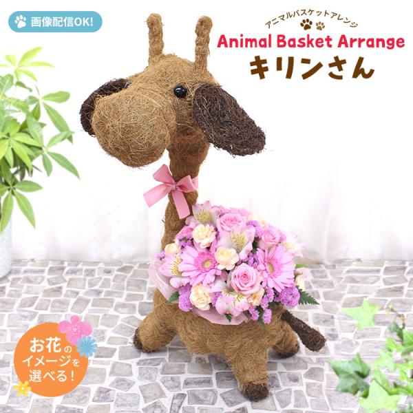 長い首がチャームポイント！みんな大好きキリンさん♪　■配送について平日15時までのご注文で即日発送 送料無料※土曜の15時以降及び日曜の受付は月曜発送（火曜着が最速になります）※北海道・青森・秋田・岩手・沖縄・離島へのお届けは配送日数がかか...