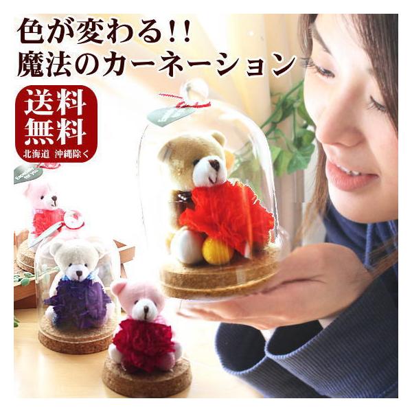 くまのぬいぐるみ×色が変わる魔法のお花のオリジナルギフト♪母の日期間限定のプリザーブドフラワーです。■配送についてこちらの商品は母の日月間限定商品となっておりますので、お届け日5/1以降のご指定をお願い致します。送料無料(※北海道・沖縄は離...
