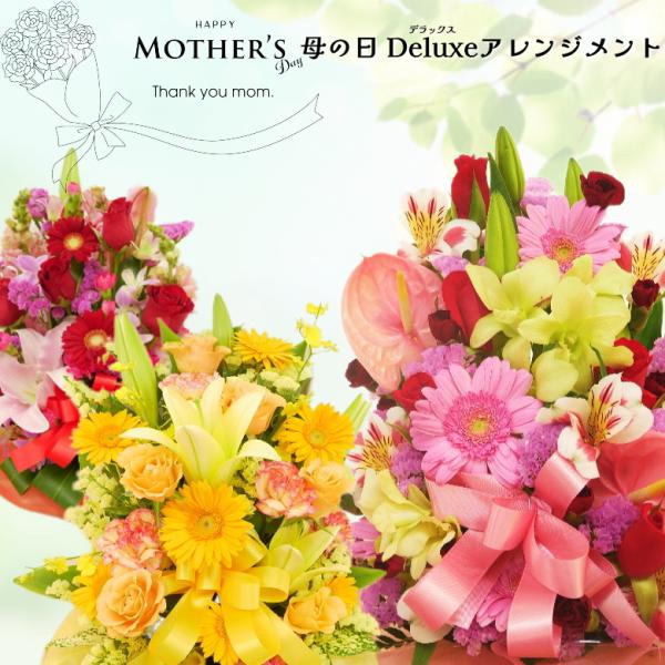 母の日 プレゼント に、カーネーション入り生花アレンジメント。母の日カード付き。商品名：母の日 デラックスアレンジメント花材：カーネーション スプレーカーネーション のほか、アルストロメリア、トルコキキョウ、ユリ、バラ、スプレーバラ、ヒペリ...