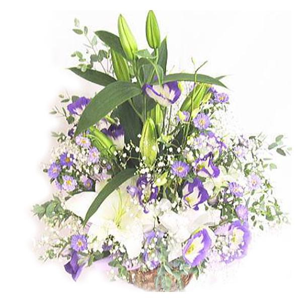 お盆 定番の白＆紫のお供え花。ユリをメインにカスミソウをあしらい、やさしい面持ちに。追悼の意を表す大切なお花は定番デザインで失礼のないように配慮してお作りします。■配送について送料無料※北海道・秋田・青森・岩手・沖縄・離島へのお届けは配送日...